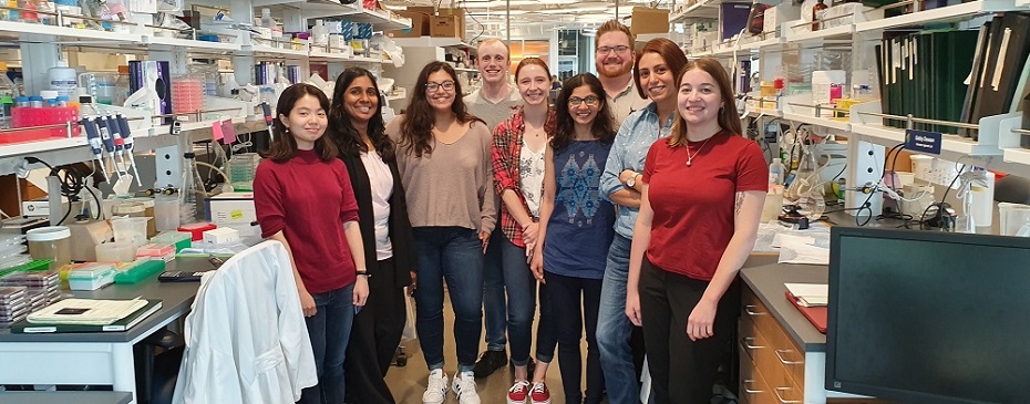Agarwal Lab | OHSU
